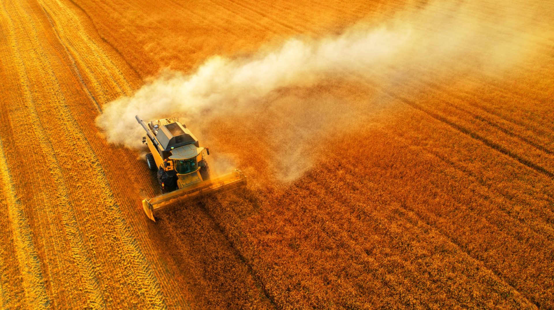 Asset Management Software Built for You | Collective Data